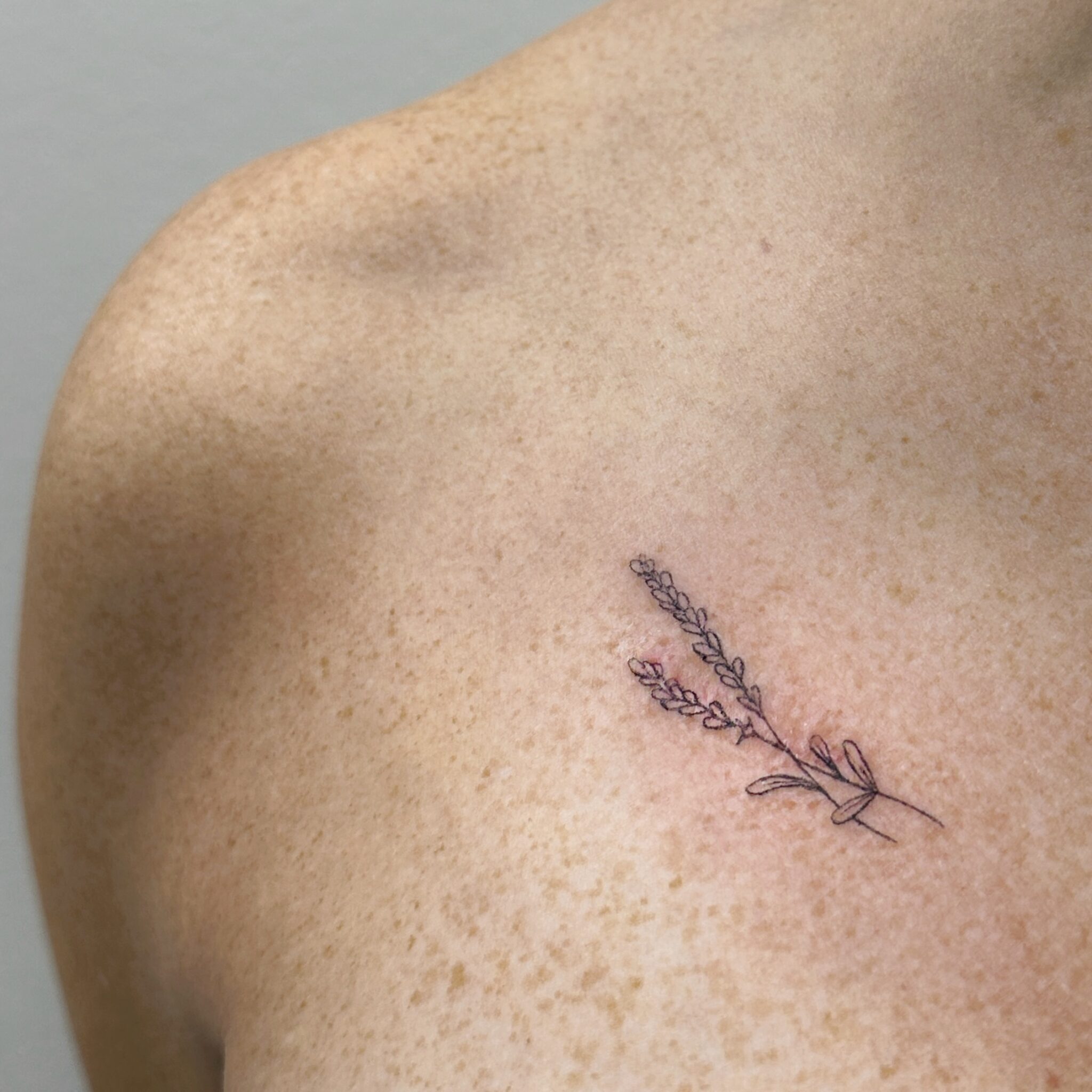 Live Tiny Tattoo Training Lisa Om®